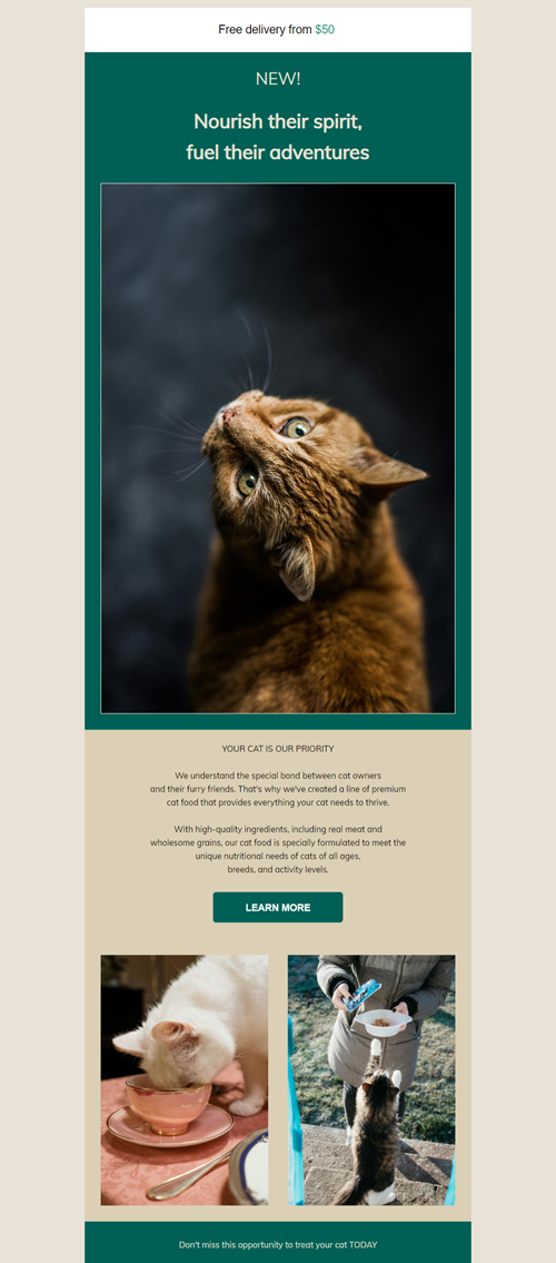 Premium Cat Food Sale Email Template | EngageBay