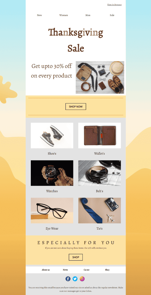 Thanksgiving All Products 30 Sale Email Templates (Free)