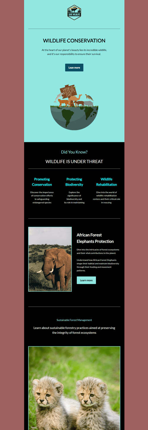 Wildlife Conservation Awareness Promotional Email Template